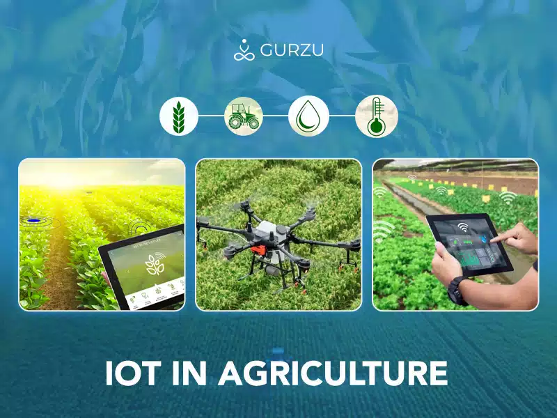 Internet of things in agriculture: A solution to world hunger? | Gurzu